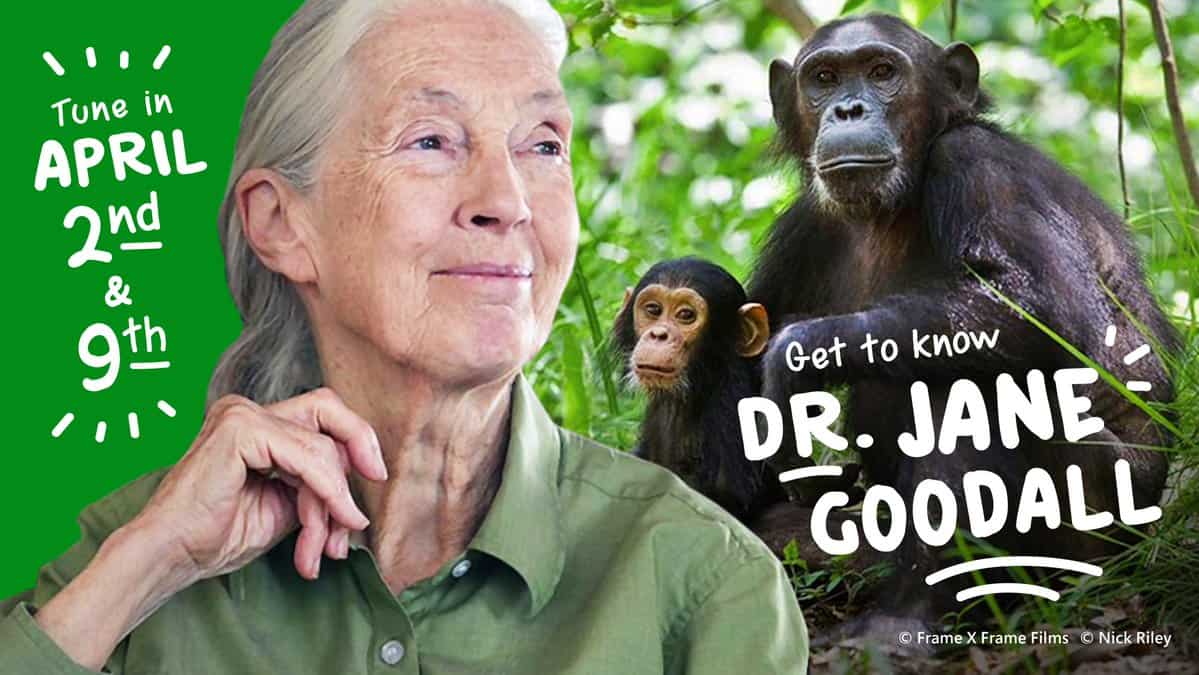 Differentiate and build student agency with Reading Coach in Immersive ...