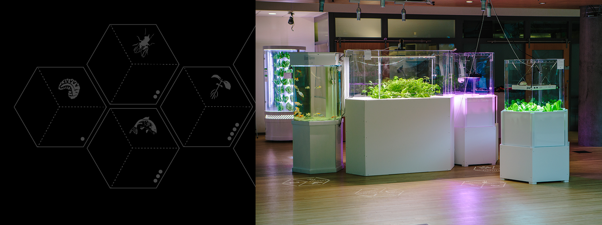 Food Futures - Microsoft Research