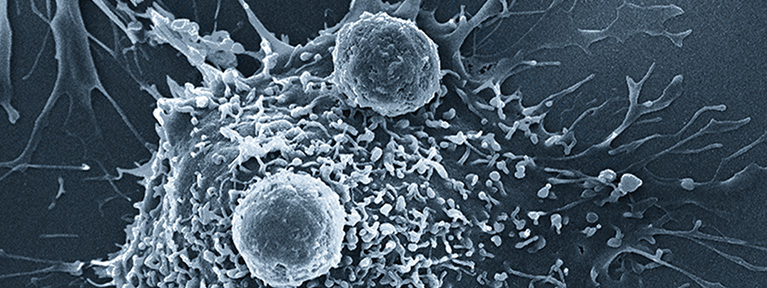 Microsoft Immunomics - Microsoft Research