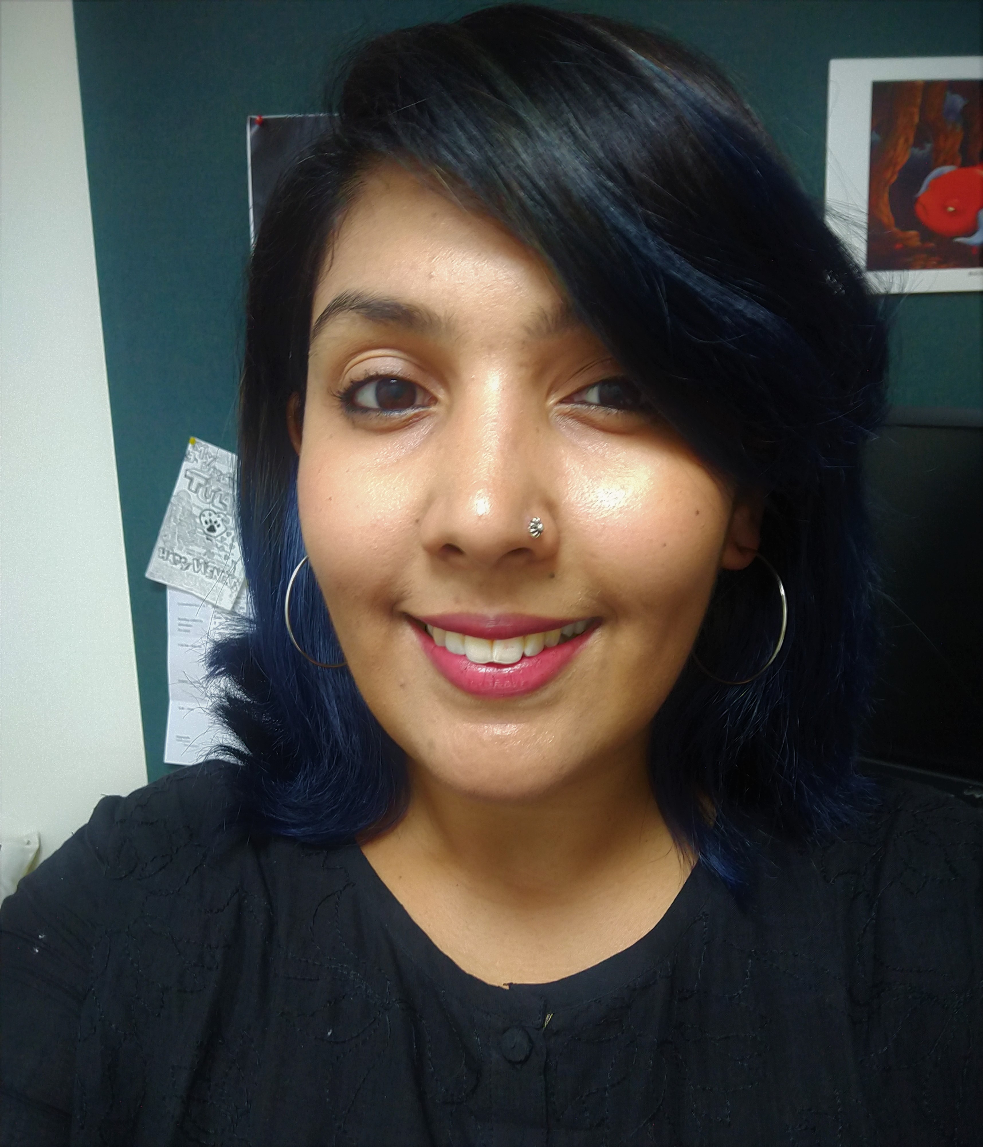 Microsoft Icecaps: Microsoft Research blog - Microsoft Research