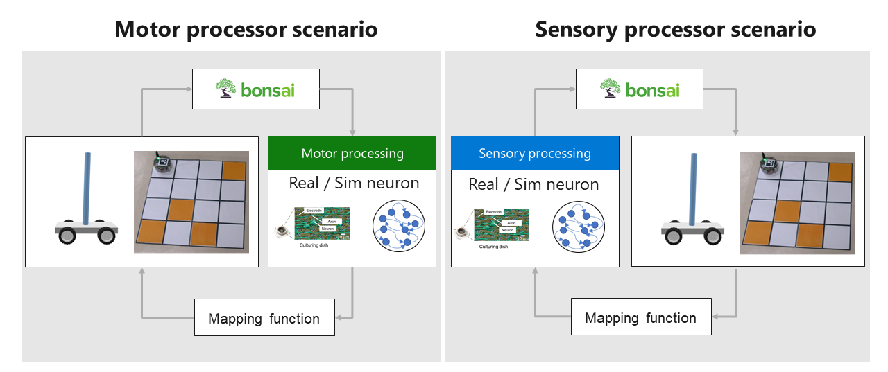 Neuron-connected robots - Microsoft Research