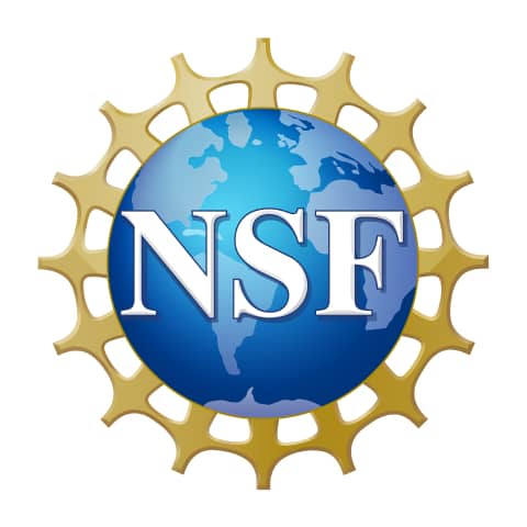 NSF Rings Program - Microsoft Research