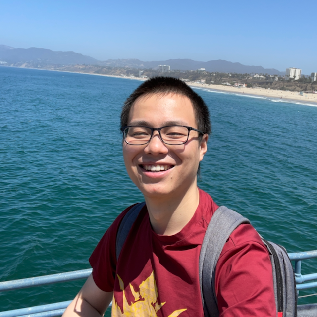 Synchronized Audio-Visual Generation with a Joint Generative Diffusion ...