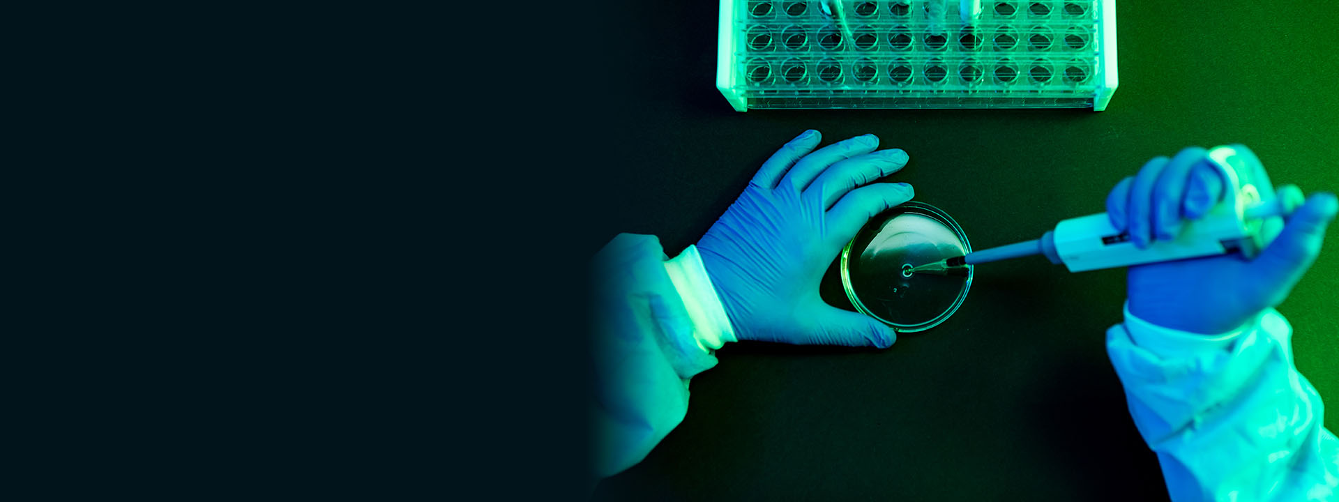 Project Ex Vivo - Microsoft Research