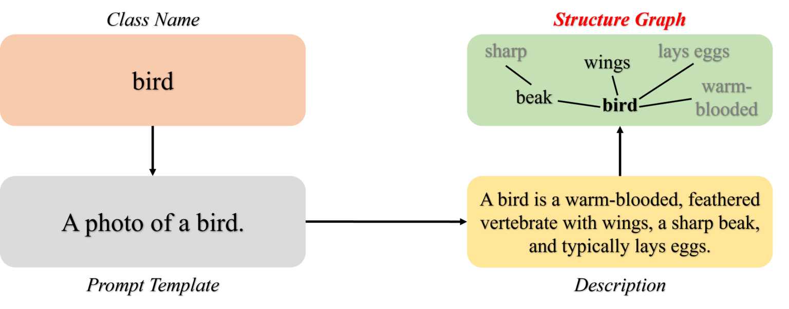 Structured knowledge from LLMs improves prompt learning for visual ...