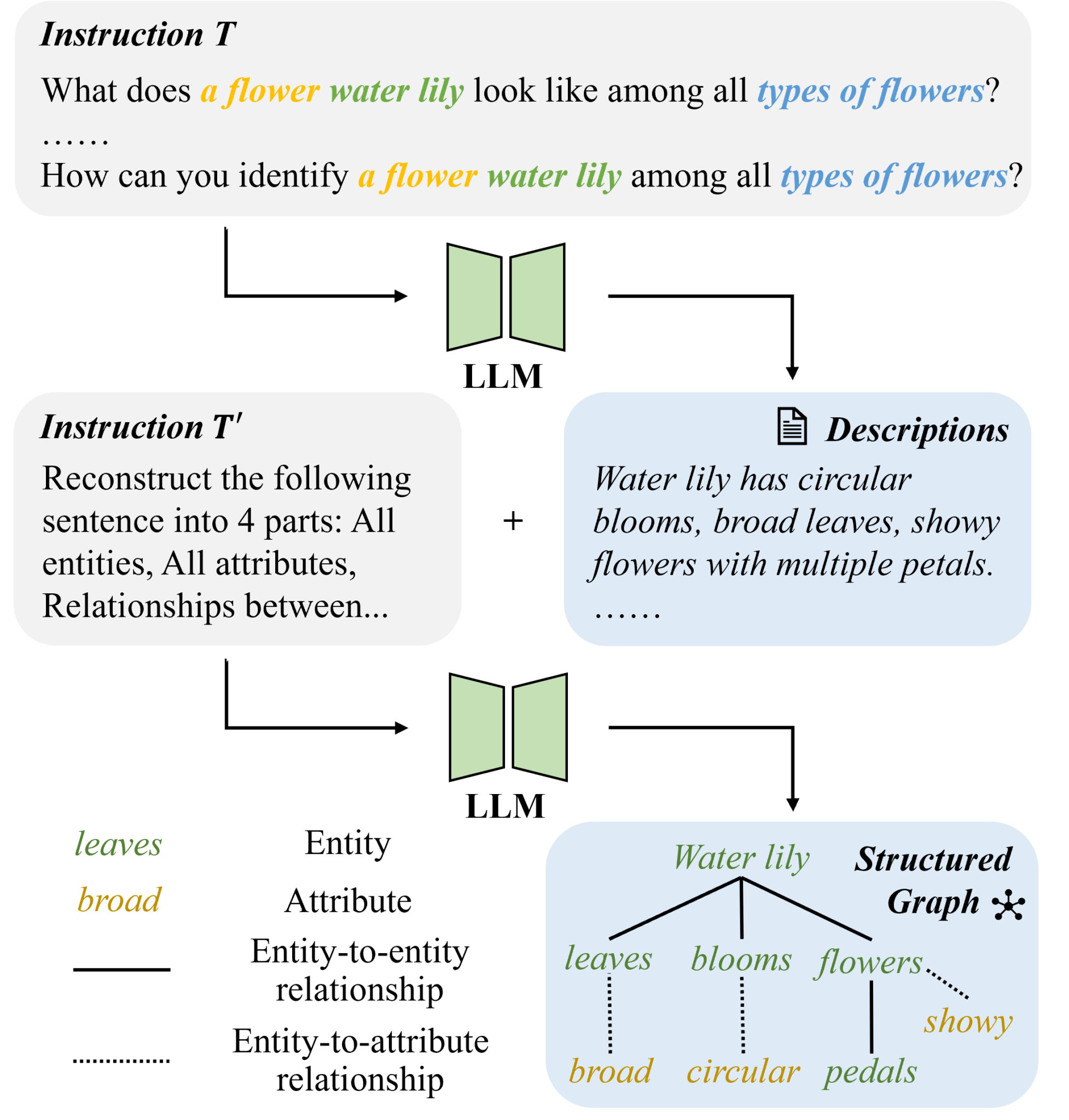 Structured knowledge from LLMs improves prompt learning for visual ...