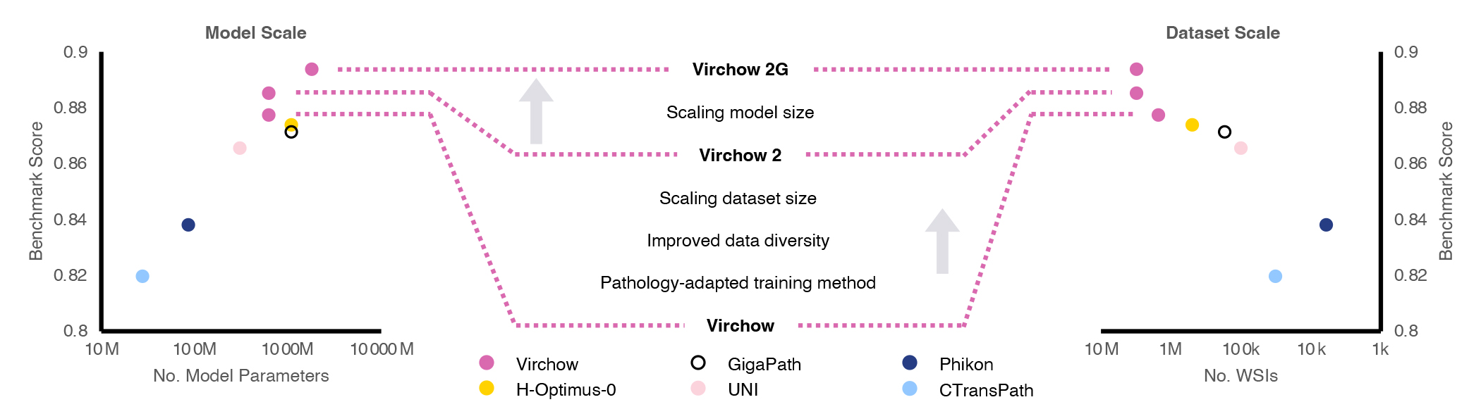 Large-scale pathology foundation models show promise on a variety of ...