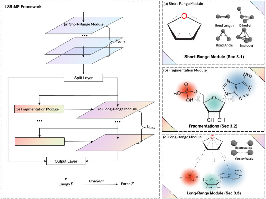 LSR-MP：突破分子模拟瓶颈，探索知识引导的AI范式 - Microsoft Research