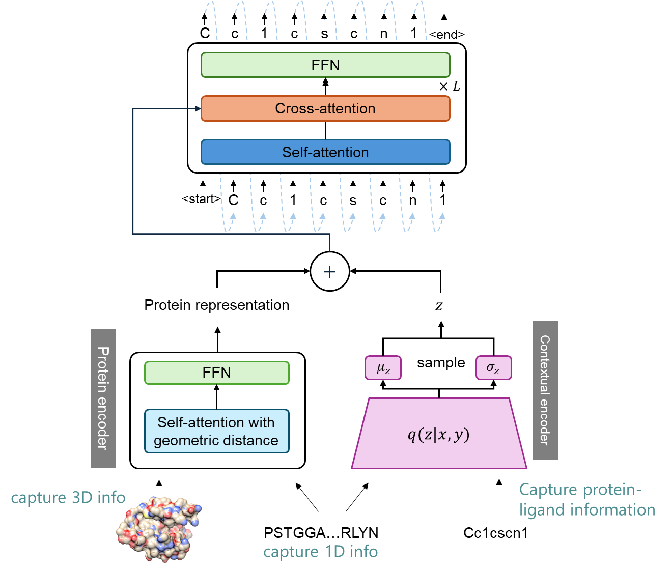 加速药物发现：基于生成式AI的靶点感知分子生成器TamGen - Microsoft Research