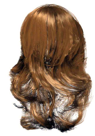 Modeling Hair from Multi View - Video - Microsoft Research