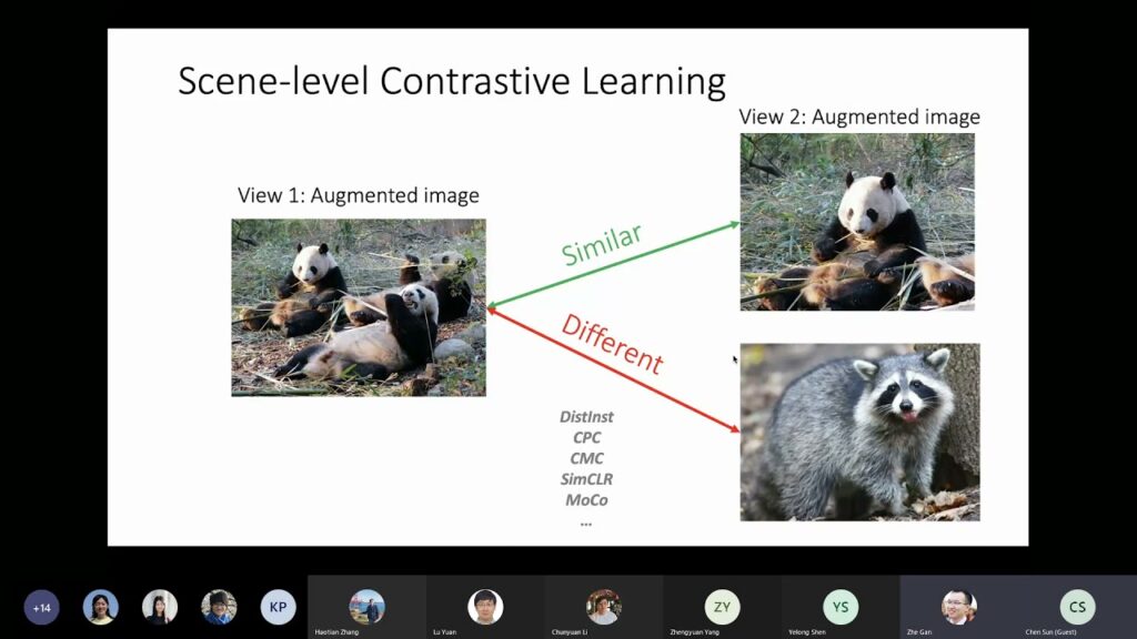 A Truly Unbiased Model - Microsoft Research