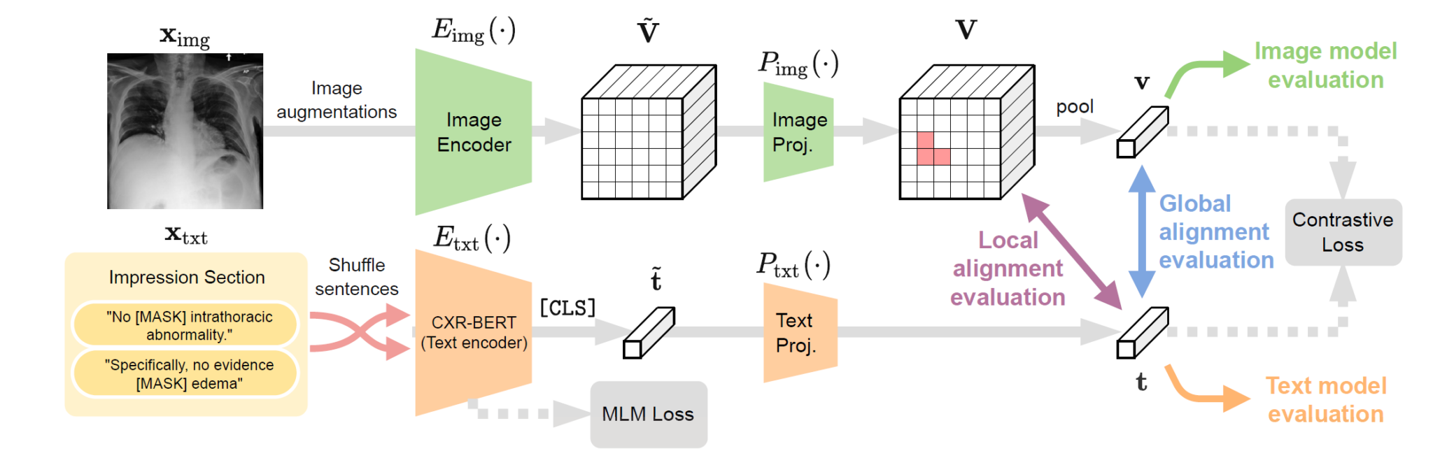 Making the Most of Text Semantics to Improve Biomedical Vision-Language ...