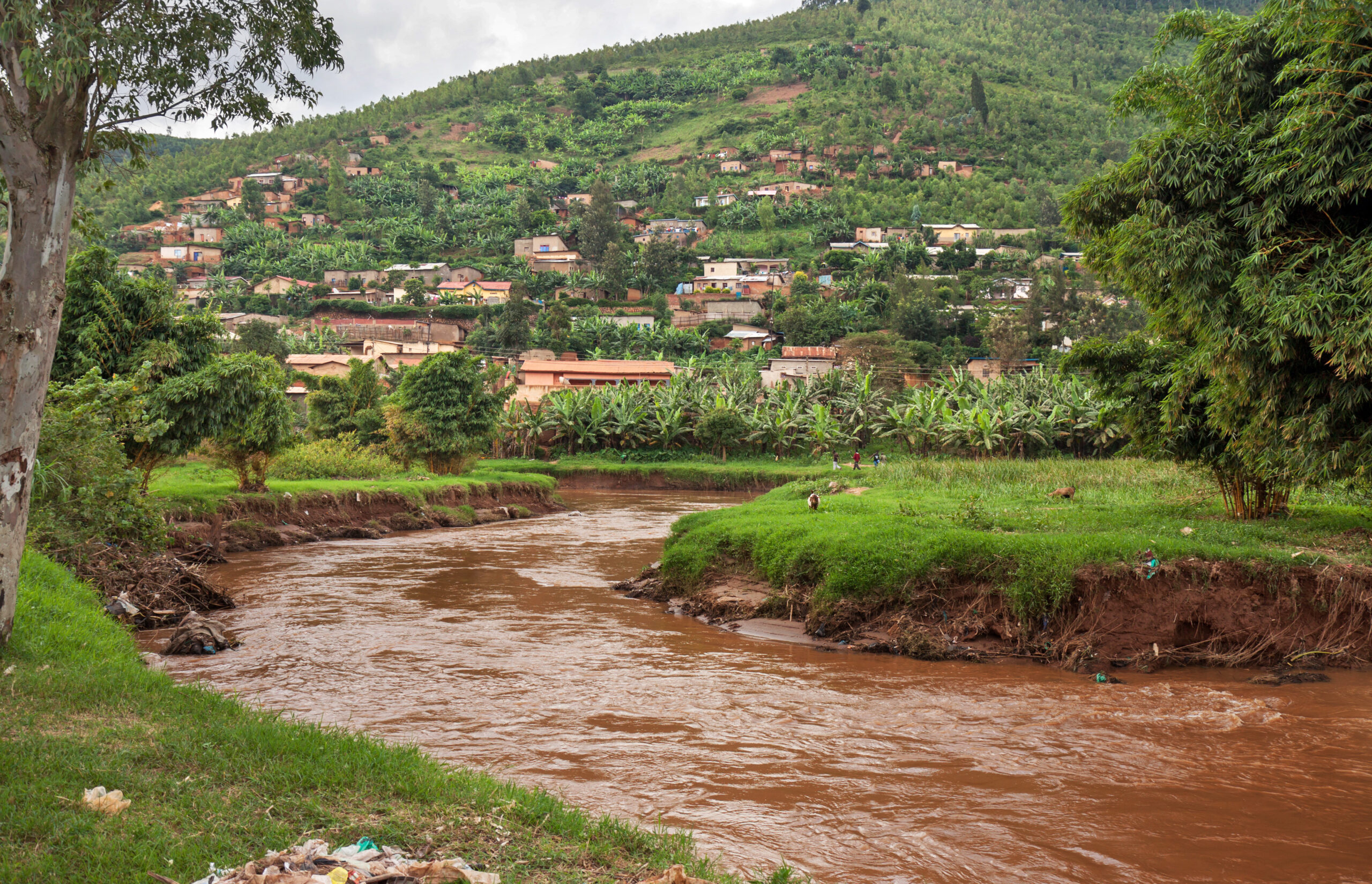 Flood Forecasting in Critical Flood Prone Areas of Rwanda - Microsoft ...