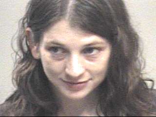 The Alice Project: A Different Way to Teach Introductory Computer ...