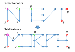 Network Morphism - Microsoft Research