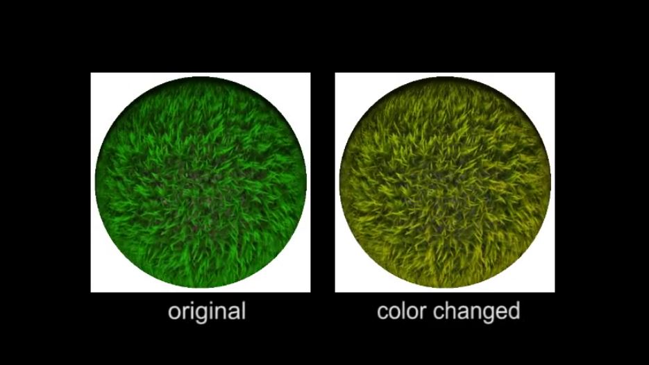 Edit Propagation On Bidirectional Texture Functions Microsoft Research