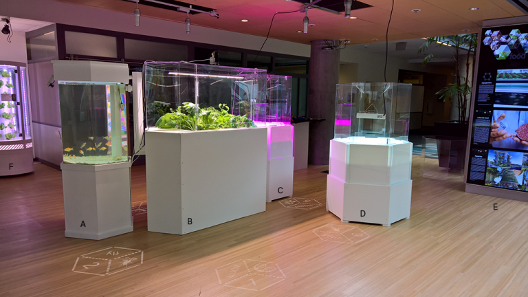 Food Futures - Microsoft Research