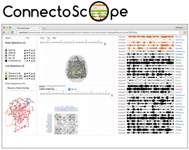 Visualizing Networks - Microsoft Research