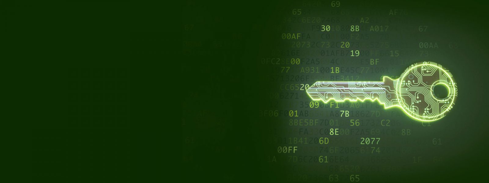 Microsoft SEAL: Fast and Easy-to-Use Homomorphic Encryption Library