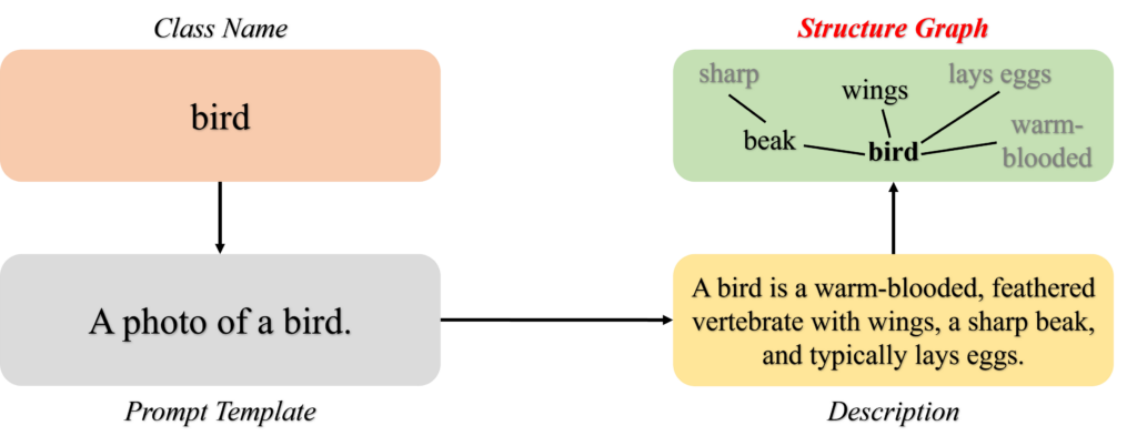 Structured knowledge from LLMs improves prompt learning for visual ...