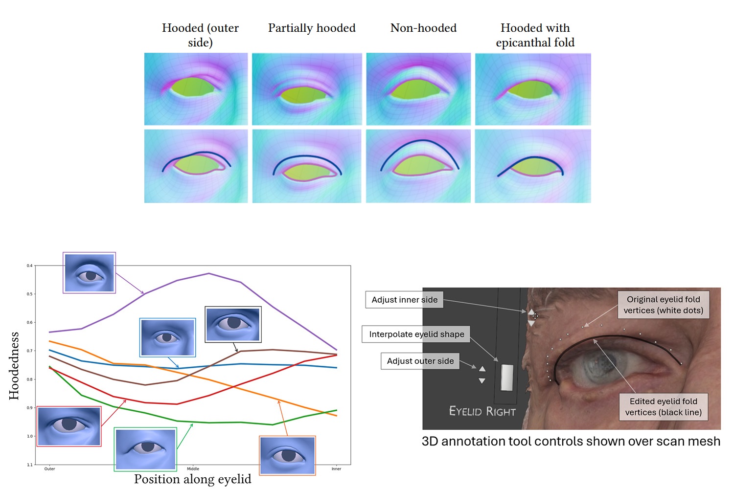 Eyelid Fold Consistency in Facial Modeling - Microsoft Research