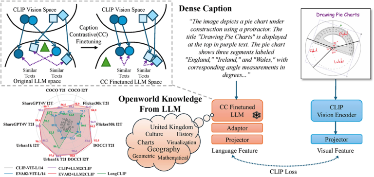 LLM2CLIP: Powerful Language Model Unlocks Richer Visual Representation ...