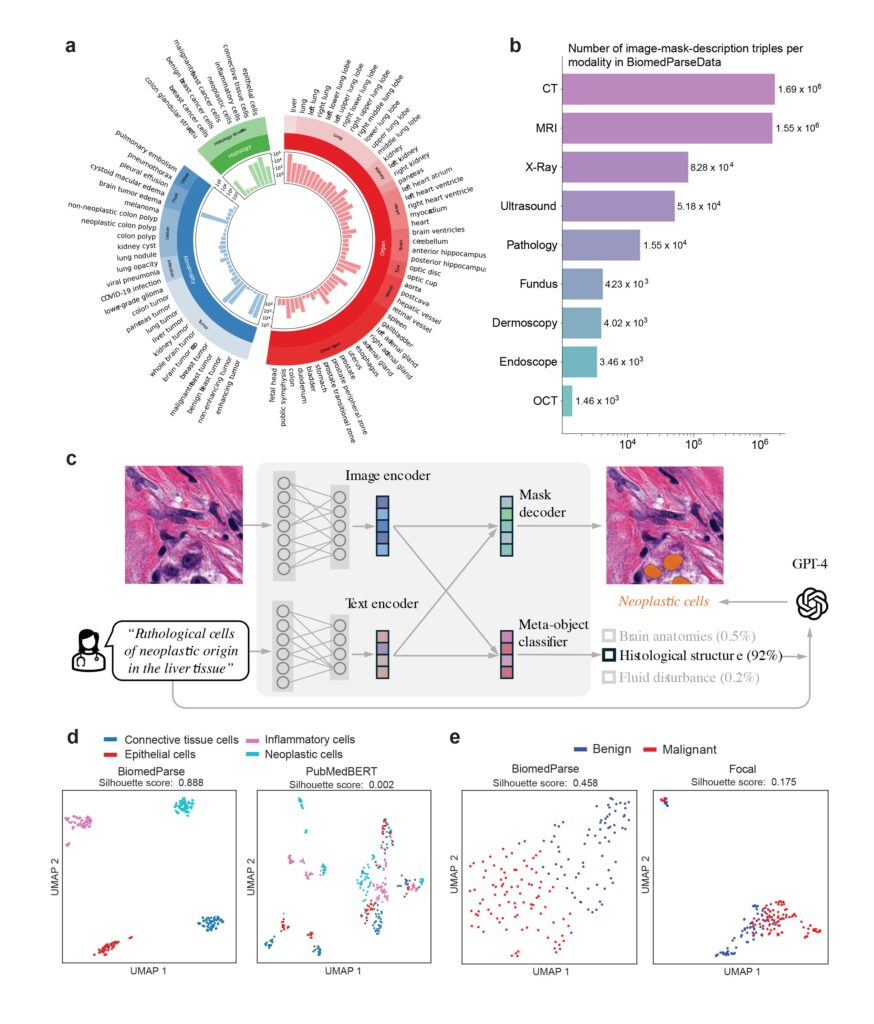 BiomedParse: A foundation model for smarter, all-in-one biomedical image analysis - Microsoft ...