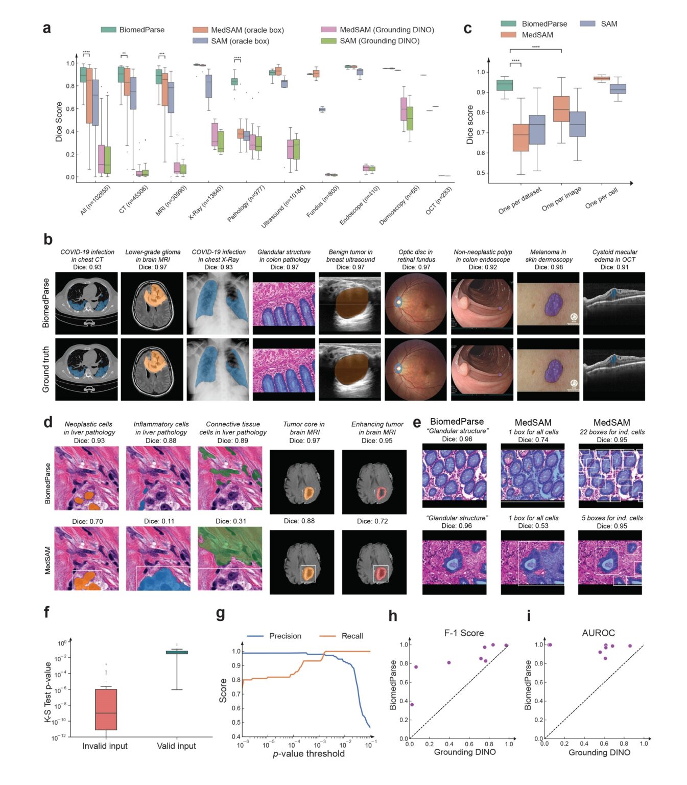 BiomedParse: A foundation model for smarter, all-in-one biomedical ...