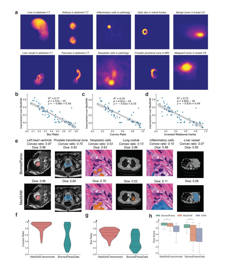 BiomedParse: A foundation model for smarter, all-in-one biomedical ...