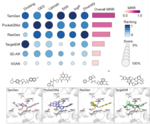 加速药物发现：基于生成式AI的靶点感知分子生成器TamGen - Microsoft Research