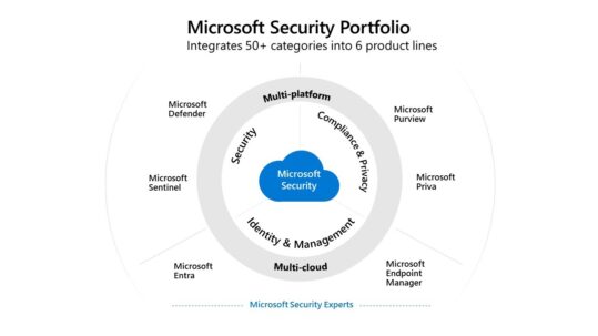 How Microsoft Security partners are helping customers do more with less ...