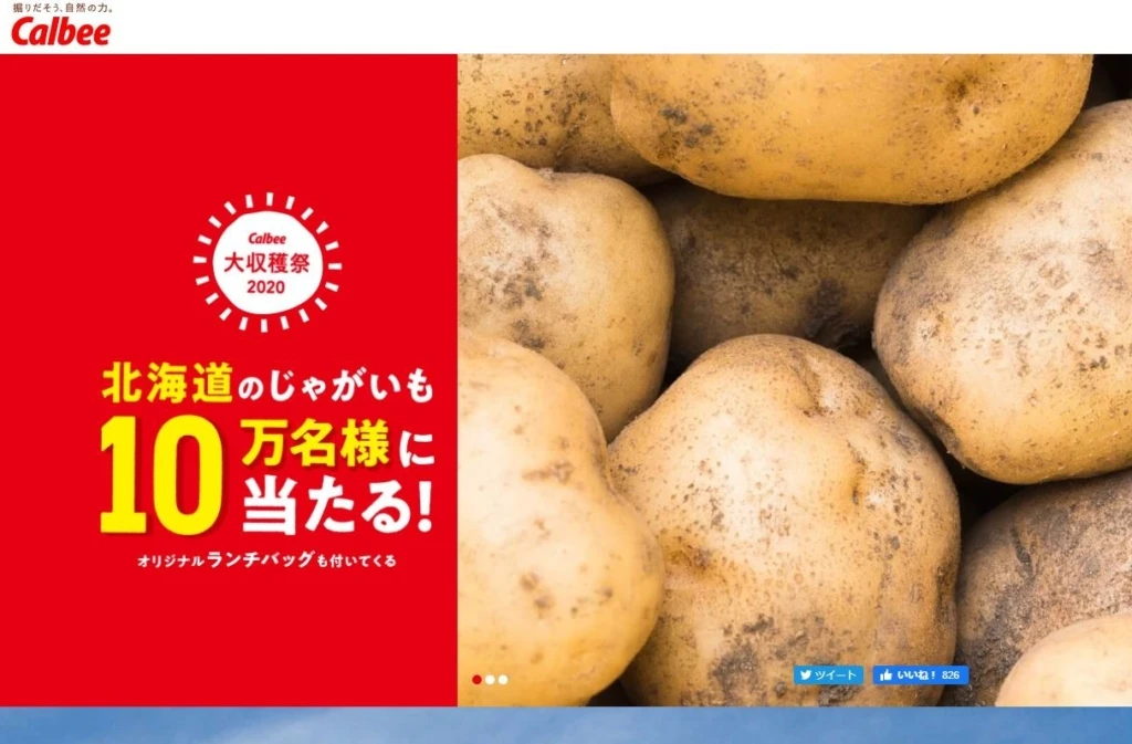 顧客接点は「はがき」……“昭和っぽかった” マーケティングを AI でデジタル化するカルビーの挑戦 - マイクロソフト業界別の記事